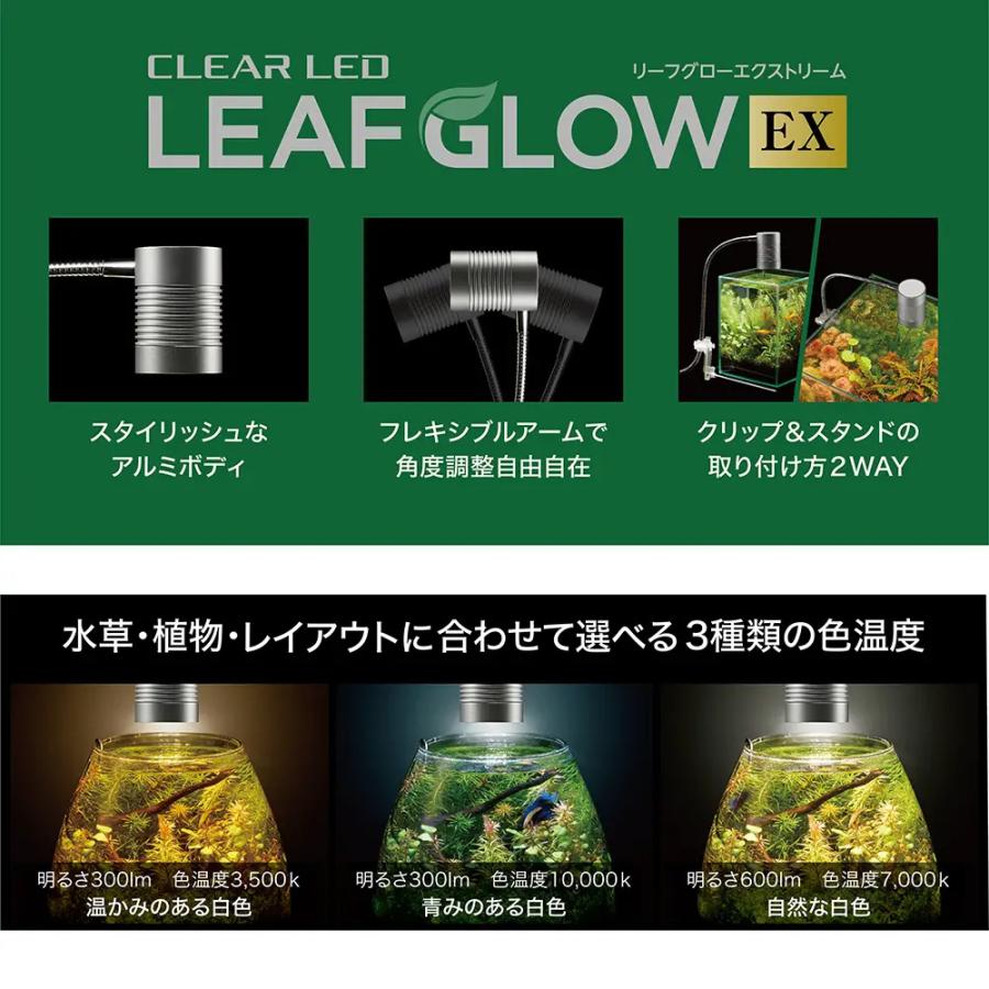 GEX GEX リーフグロー エクストリーム 卓上ライト 600lm 色温度3種類 アクアリウム 水槽 照明 : チャーム charm ヤフー店 - 通販 - Yahoo!ショッピング