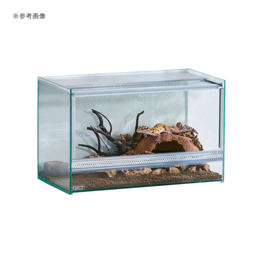 GEX レプテリア クリアネオ 400Slim お一人様2点限り 沖縄別途送料 :269743:チャーム charm ヤフー店 - 通販 - Yahoo!ショッピング