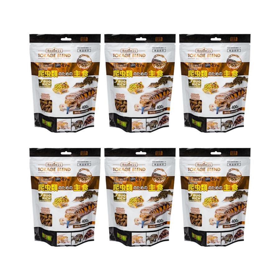 GEX GEX エキゾテラ トカゲブレンドフード 400g×6袋 : チャーム charm ヤフー店 - 通販 - Yahoo!ショッピング