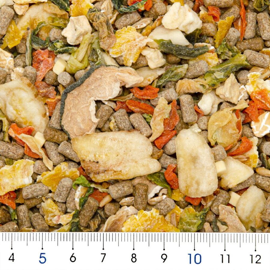 ナチュラルペットフーズ NPF ハムスターテイストプラス 400g : チャーム charm ヤフー店 - 通販 - Yahoo!ショッピング