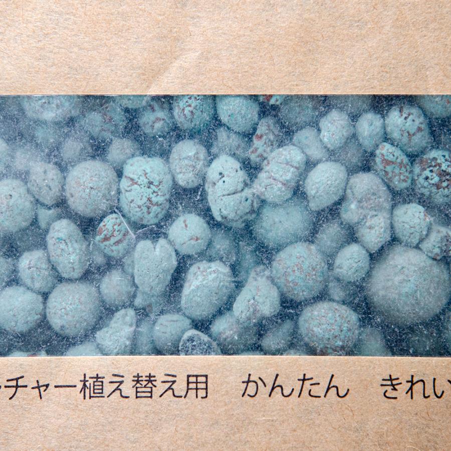 カラフルコーン 0．8L ミント ハイドロカルチャー用土 : チャーム charm ヤフー店 - 通販 - Yahoo!ショッピング