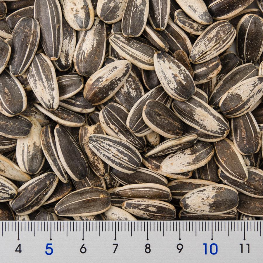 ナチュラルペットフーズ NPF プレミアム 大粒ひまわり 2．3kg : チャーム charm ヤフー店 - 通販 - Yahoo!ショッピング