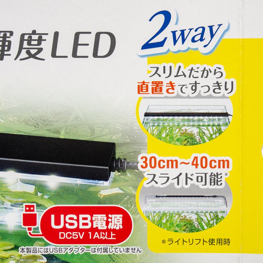 GEX GEX クリアLED フラッティ 3040 ブラック USB ライト 水槽 照明 : チャーム charm ヤフー店 - 通販 - Yahoo!ショッピング