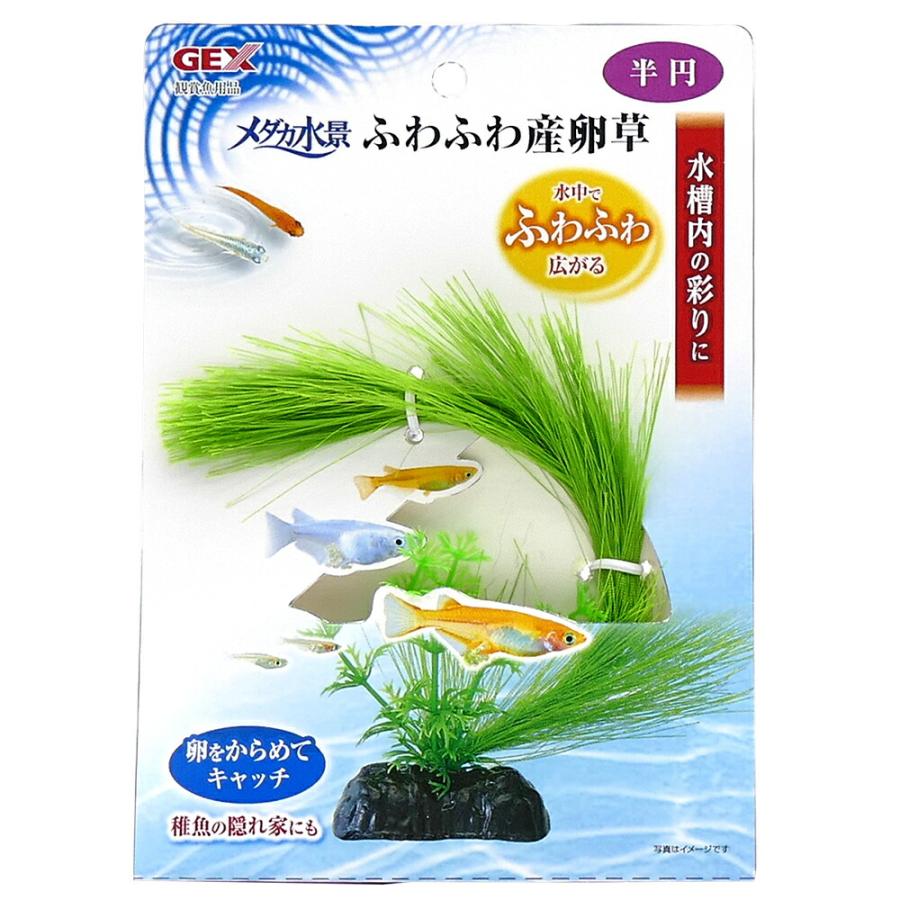 メダカ元気 GEX メダカ元気 ふわふわ産卵草 半円 : チャーム charm ヤフー店 - 通販 - Yahoo!ショッピング