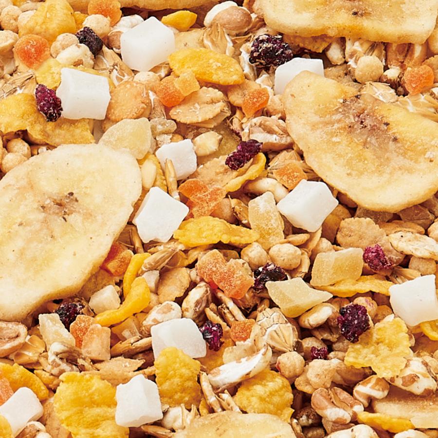 マルカン フルーツいっぱいグラノーラ トロピカル 165g : チャーム charm ヤフー店 - 通販 - Yahoo!ショッピング