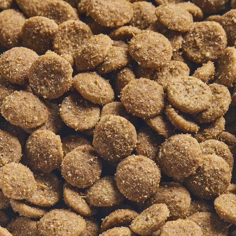 シュプレモ ニュートロ 猫 シュプレモ 成猫用 チキン＆サーモン 400g ×2袋 : チャーム charm ヤフー店 - 通販 - Yahoo!ショッピング