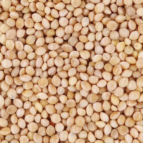 ナチュラルペットフーズ NPF ナチュラルセレクト キビ（皮付き） 500g : チャーム charm ヤフー店 - 通販 - Yahoo!ショッピング