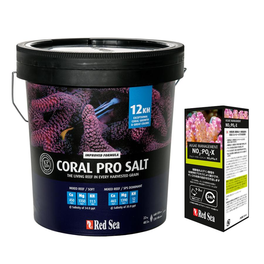 人工海水 レッドシー 黒丸バケツ コーラルプロソルト 22kg＋NO3：PO4−X 100ml : 288039 : チャーム charm ...
