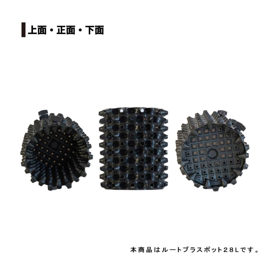 鉢 ルートプラスポット 高機能植木鉢 28L GSAP350SNK : チャーム charm ヤフー店 - 通販 - Yahoo!ショッピング