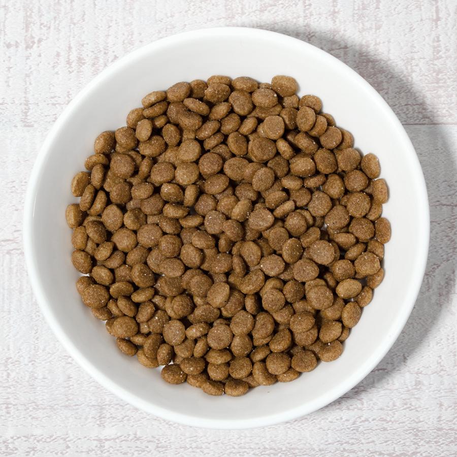 AIM30 キャットフード AIM30 11歳以上の室内避妊・去勢後猫用 腎臓の健康ケア フィッシュ 1．2kg : チャーム charm ヤフー店 - 通販 - Yahoo!ショッピング