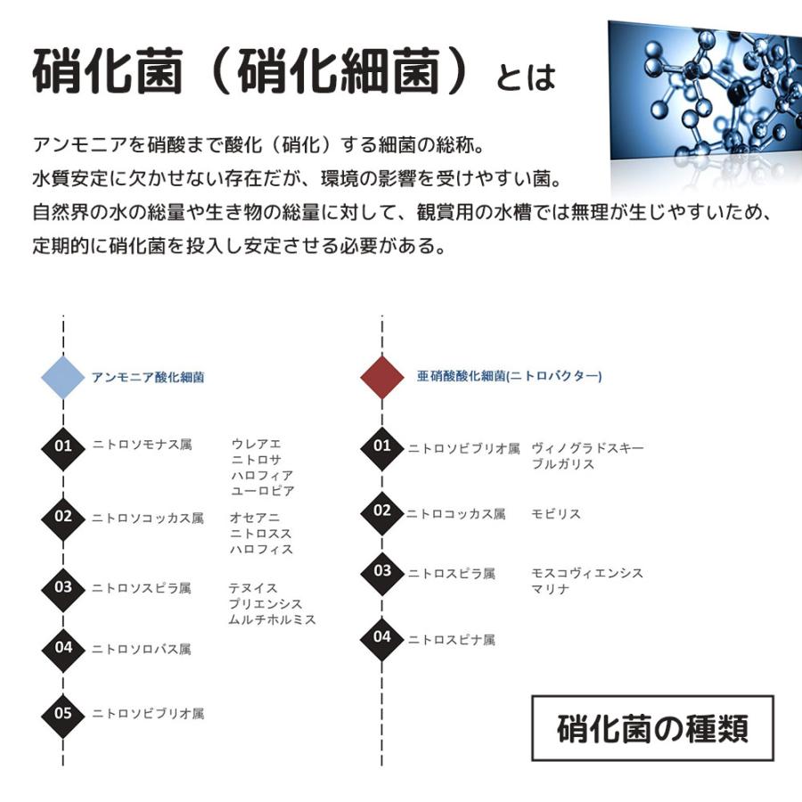 B-blast B−blast N918 硝化バクテリア 500ml 複合 硝化菌 バチルス菌入 : チャーム charm ヤフー店 - 通販 - Yahoo!ショッピング