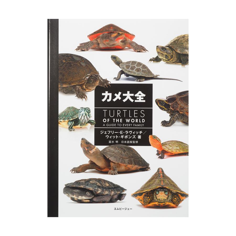カメ大全 TURTLES OF THE WORLD : チャーム charm ヤフー店 - 通販 - Yahoo!ショッピング