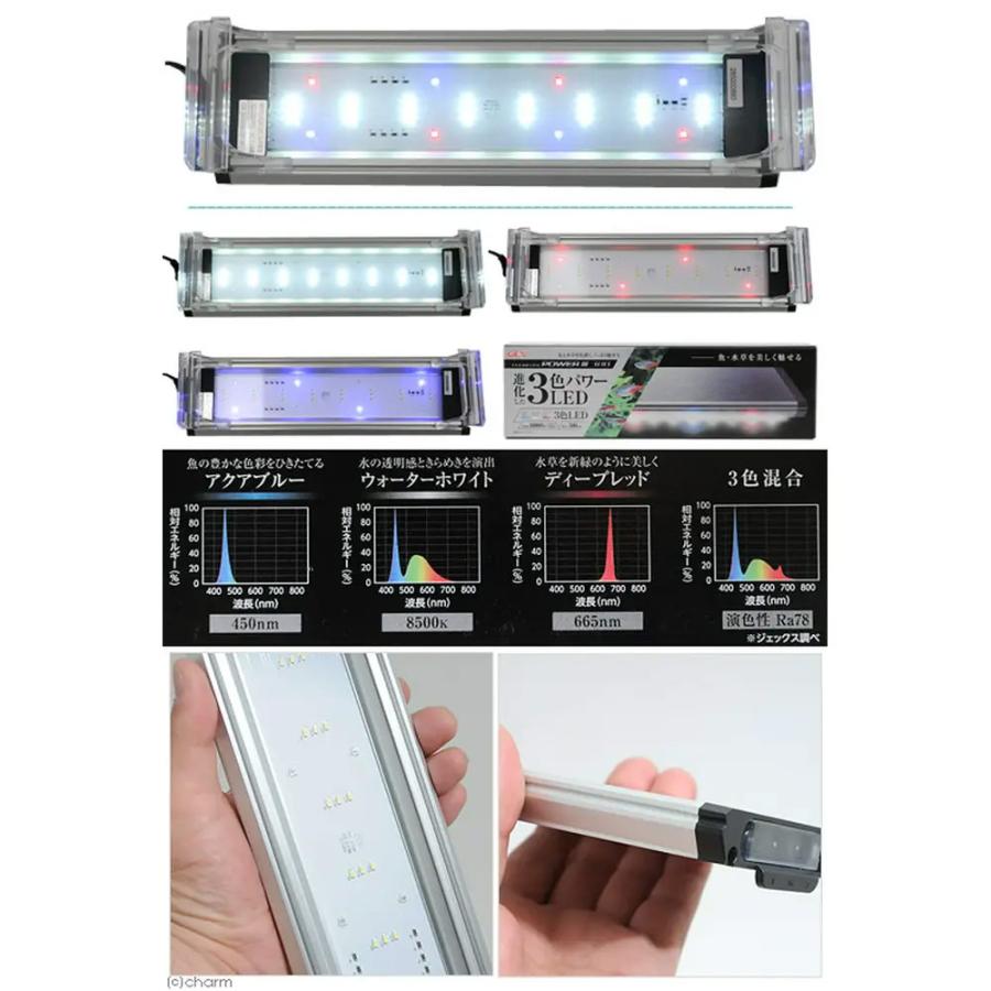 【送料無料】GEX クリアLEDパワー3 300 PSBQ10セット 30cm水槽用照明 : チャーム charm ヤフー店 - 通販 - Yahoo!ショッピング