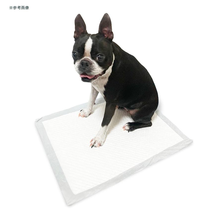 PetPro ペットプロ かんたんしつけシーツ レギュラー 42枚 ペットシーツ : チャーム charm ヤフー店 - 通販 - Yahoo!ショッピング