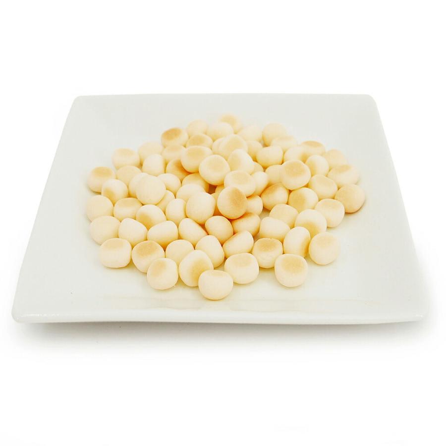 PetPro（ペットプロ） ハッピーデイズ パピーボーロ 乳酸菌 45g : チャーム charm ヤフー店 - 通販 - Yahoo!ショッピング