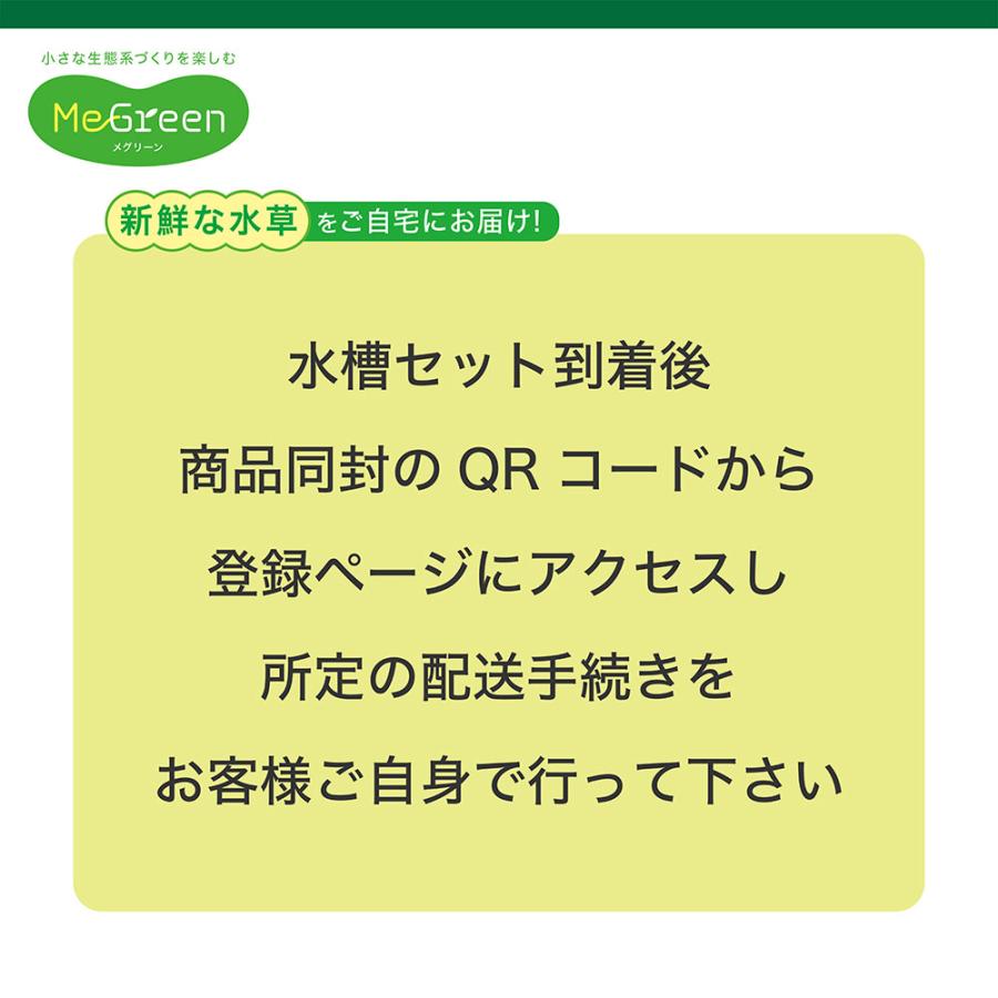 グラステリア GEX 水槽セット MeGreen 新鮮な水草付き グラステリア200セット 小型水槽 水草付 : チャーム charm ヤフー店 - 通販 - Yahoo!ショッピング