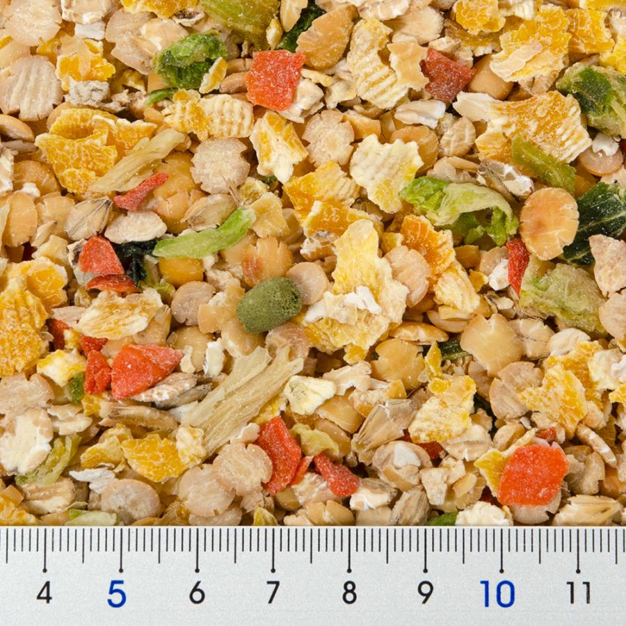 NPF ハーティー もぐもぐベジグレ 260g :304042:チャーム charm ヤフー店 - 通販 - Yahoo!ショッピング