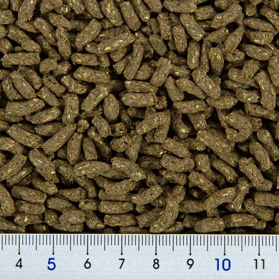 GEX 彩食健美7種ブレンド でんぷんカット 800g うさぎ フード 給餌 :304445:チャーム charm ヤフー店 - 通販 - Yahoo!ショッピング