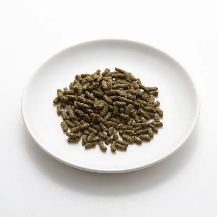 彩食健美（GEX） GEX 彩食健美7種ブレンド でんぷんカット 800g うさぎ フード 給餌 : チャーム charm ヤフー店 - 通販 - Yahoo!ショッピング