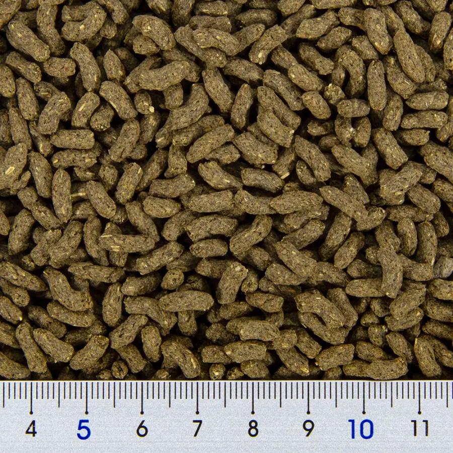 ラビットプレミアム GEX ラビットプレミアムフード ダブルケア 800g うさぎ フード 餌 ペレット : チャーム charm ヤフー店 - 通販 - Yahoo!ショッピング