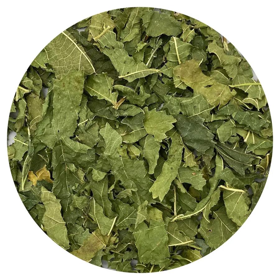 GEX GEX ヘルシーレシピ 桑の葉ぱりむしゃ 10g おやつ うさぎ ハムスター チンチラ デグー モルモット : チャーム charm ヤフー店 - 通販 - Yahoo!ショッピング