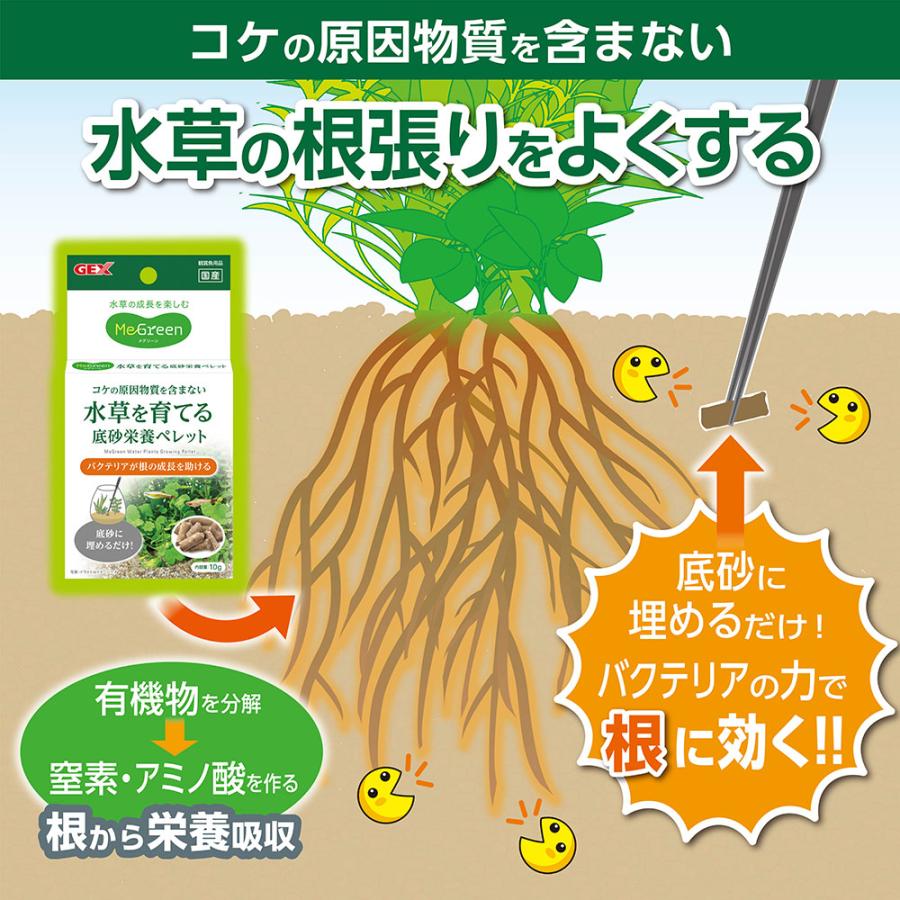 MeGreen GEX MeGreen 水草を育てる底砂栄養ペレット 10g コケの原因物質を含まない コケ予防 バクテリア : チャーム charm ヤフー店 - 通販 - Yahoo!ショッピング