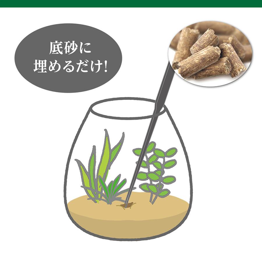 MeGreen GEX MeGreen 水草を育てる底砂栄養ペレット 10g コケの原因物質を含まない コケ予防 バクテリア : チャーム charm ヤフー店 - 通販 - Yahoo!ショッピング