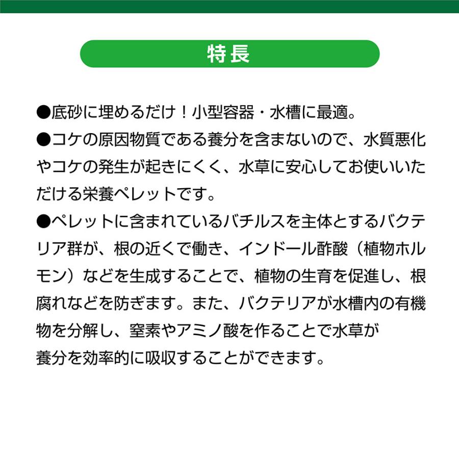 MeGreen GEX MeGreen 水草を育てる底砂栄養ペレット 10g コケの原因物質を含まない コケ予防 バクテリア : チャーム charm ヤフー店 - 通販 - Yahoo!ショッピング