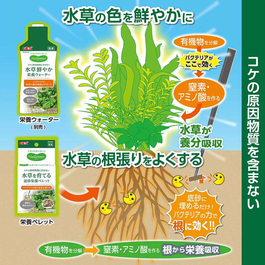 MeGreen GEX MeGreen 水草を育てる底砂栄養ペレット 10g コケの原因物質を含まない コケ予防 バクテリア : チャーム charm ヤフー店 - 通販 - Yahoo!ショッピング
