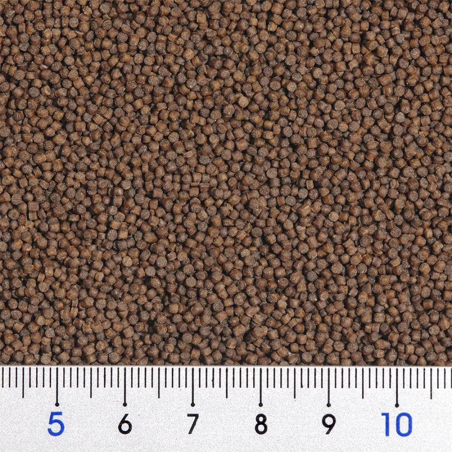 金魚元気 GEX 金魚元気 プロバイオケアフード 沈下性 200g : チャーム charm ヤフー店 - 通販 - Yahoo!ショッピング