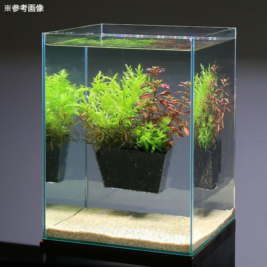 GEX リーフィット W 16×8×10．5cm 水草 マグネット 植栽 レイアウト 簡単 : 304501 : チャーム charm ヤフー店 - 通販 - Yahoo!ショッピング