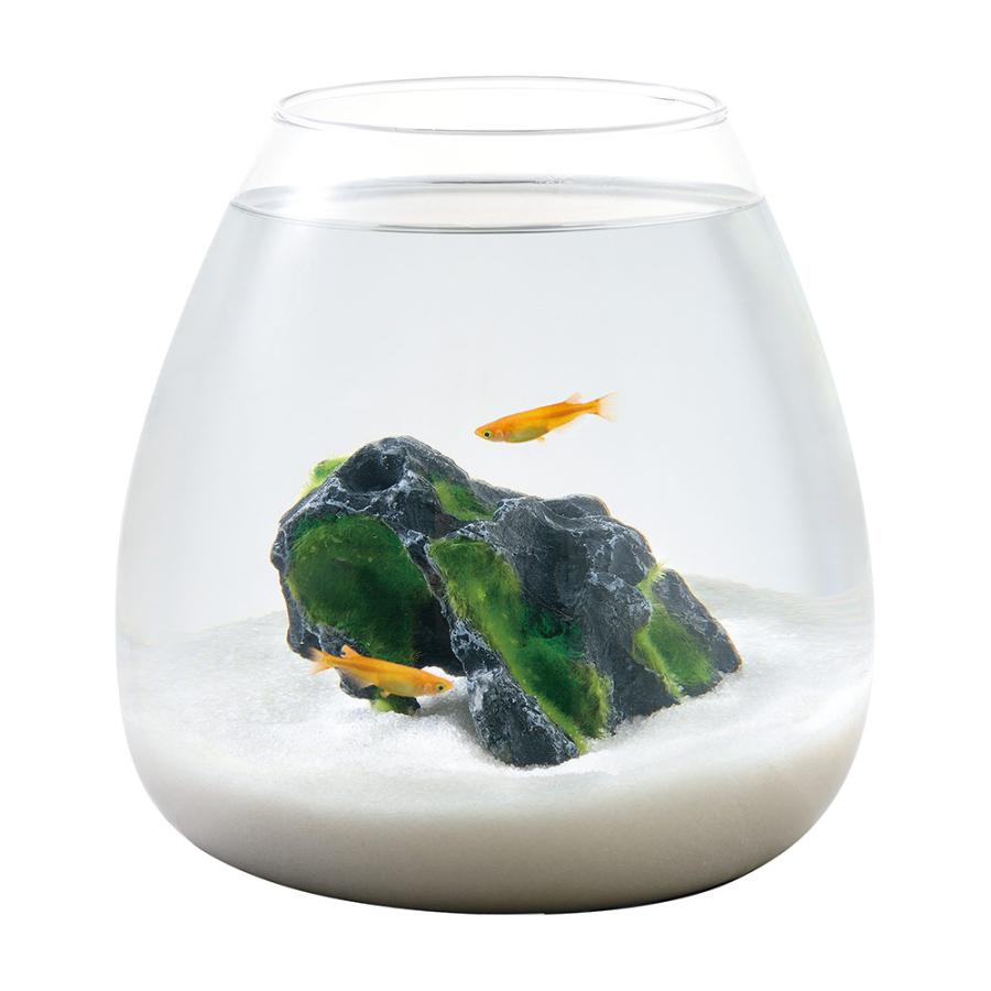 GEX GEX 癒し水景 モスロックHide : チャーム charm ヤフー店 - 通販 - Yahoo!ショッピング