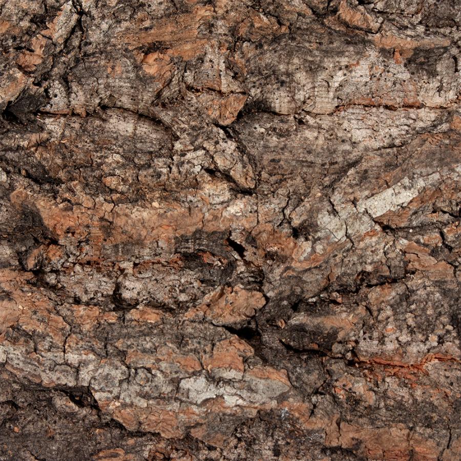 Leaf Corp テラリウム用 コルクバックパネル W20×H30cm水槽用 : チャーム charm ヤフー店 - 通販 - Yahoo!ショッピング