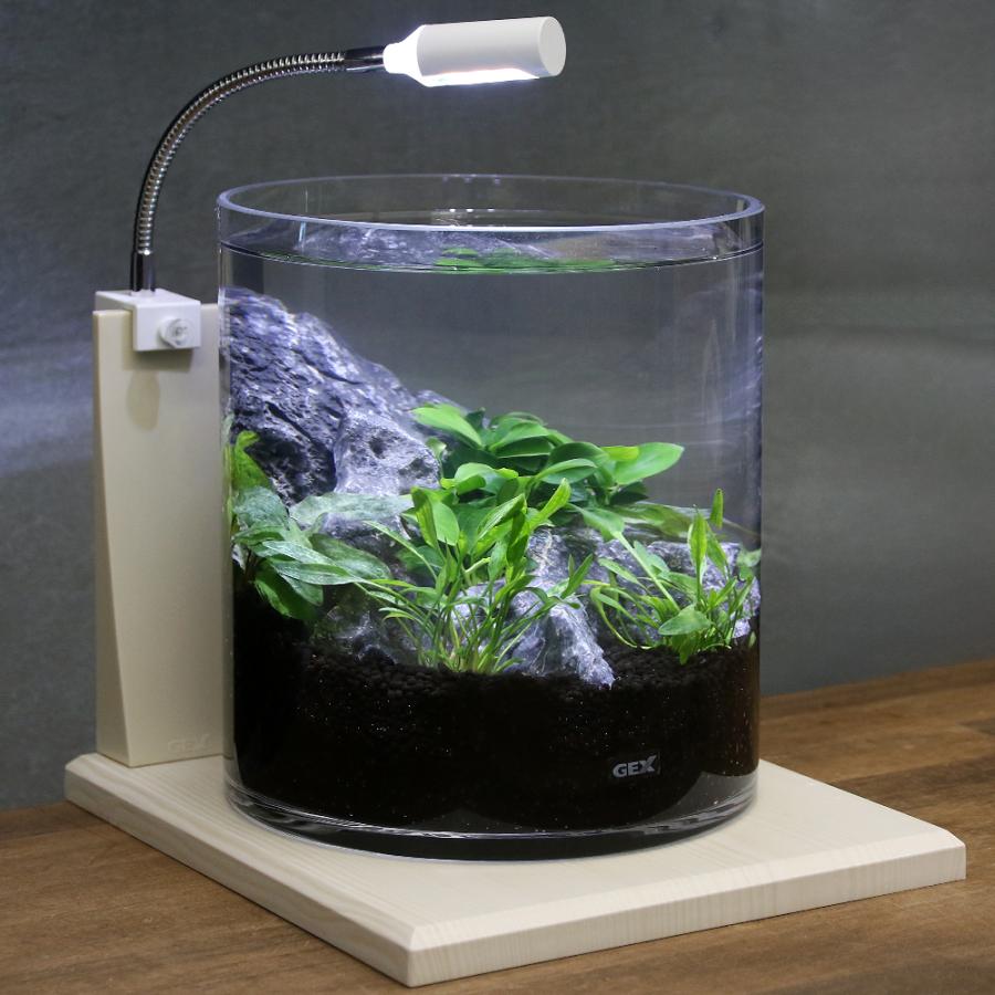 （水草）GEX グラスアクア シリンダー N 水草セット グラスベース ホワイトアッシュ200 本州四国限定 : 305640 : チャーム charm ヤフー店 - 通販 - Yahoo ...