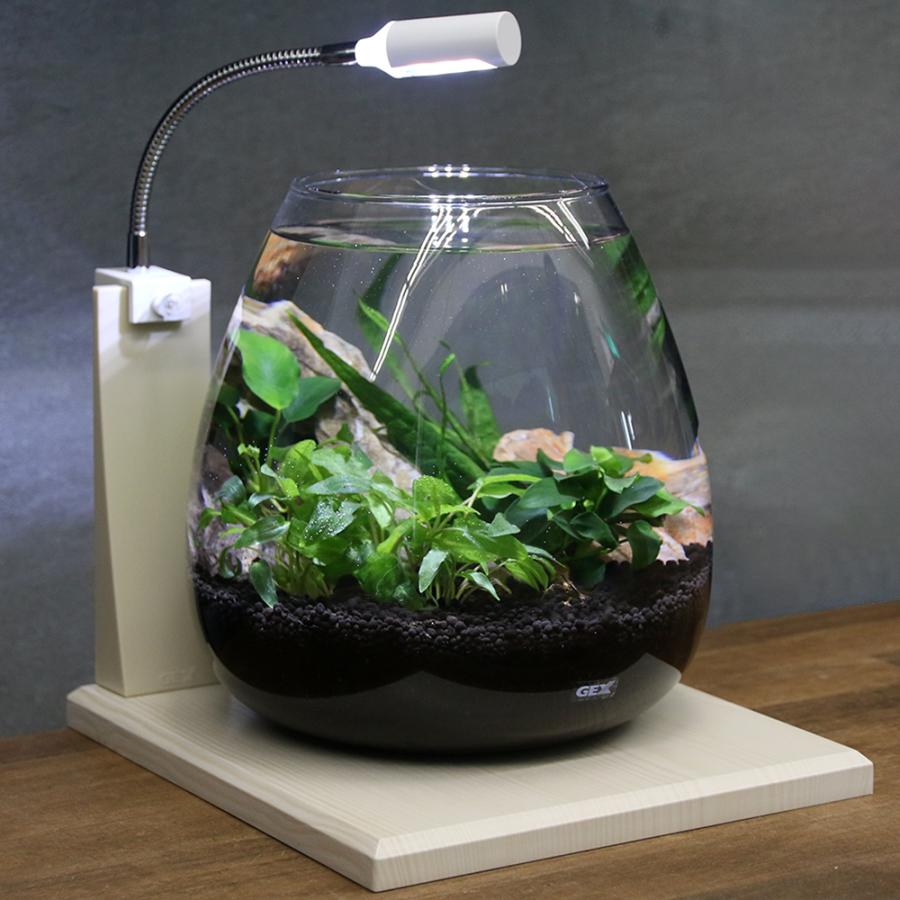 （水草）GEX グラスアクア ティアー N 水草レイアウトセット グラスベース ホワイトアッシュ200 本州四国限定 : チャーム charm ヤフー店 - 通販 - Yahoo!ショッピング