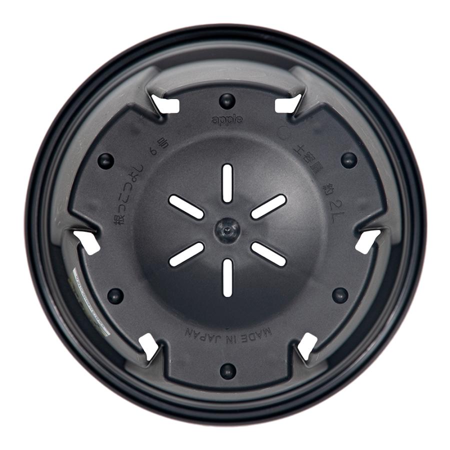 アップルウェアー スリット鉢 根っこつよし 6号 ブラック 植木鉢 黒 : チャーム charm ヤフー店 - 通販 - Yahoo!ショッピング