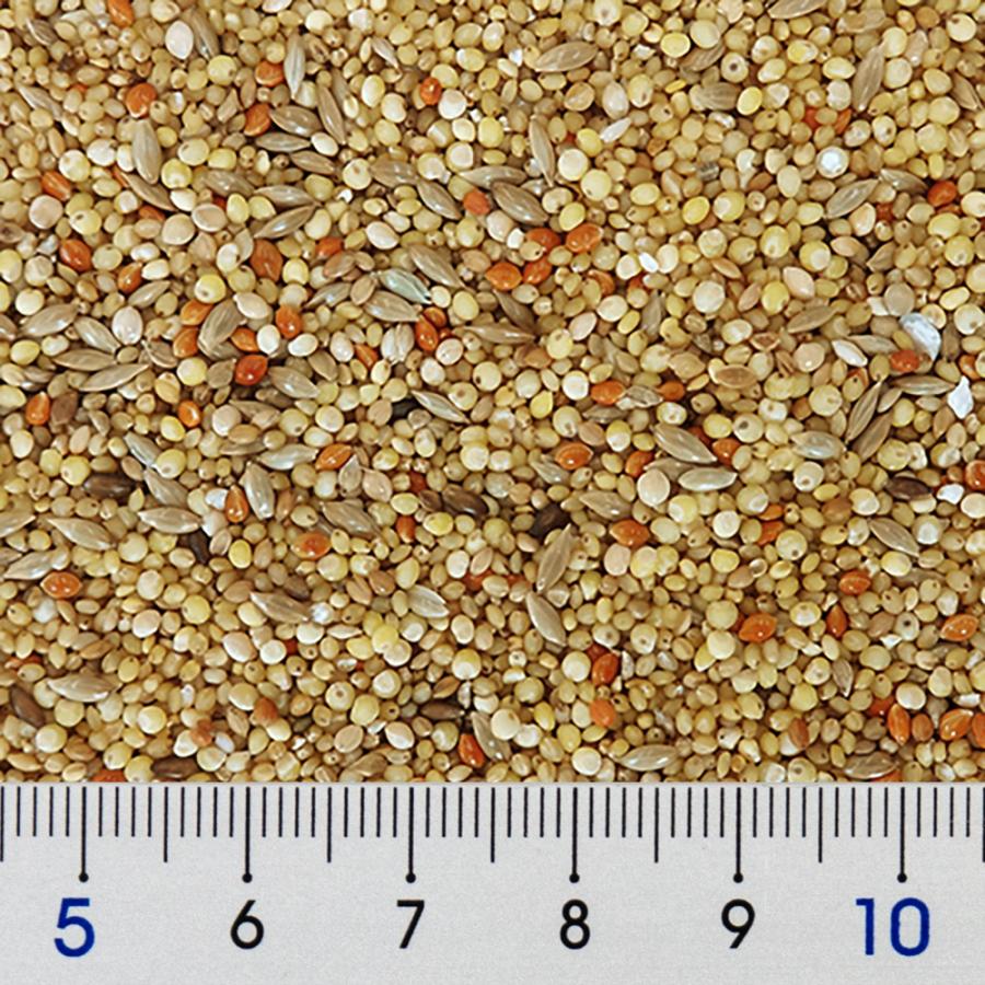 ナチュラルペットフーズ NPF エクセル おいしい小鳥の食事 皮むき 3．6kg 主食 セキセインコ オカメインコ : チャーム charm ヤフー店 - 通販 - Yahoo!ショッピング