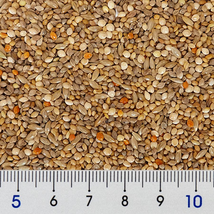 ナチュラルペットフーズ NPF エクセル おいしい小鳥の食事 皮付き 3．6kg 主食 セキセインコ オカメインコ : チャーム charm ヤフー店 - 通販 - Yahoo!ショッピング