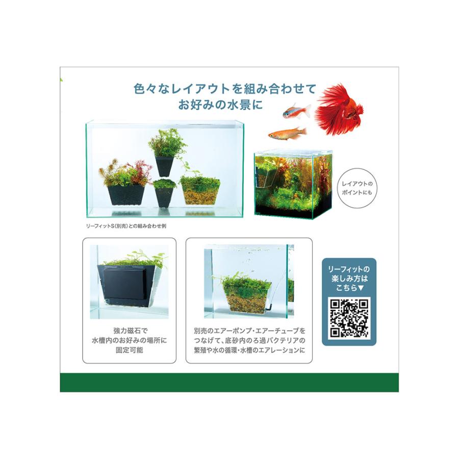 GEX ピュアソイル ブラック 800g＆リーフィット W 16×8×10．5cm : チャーム charm ヤフー店 - 通販 - Yahoo!ショッピング