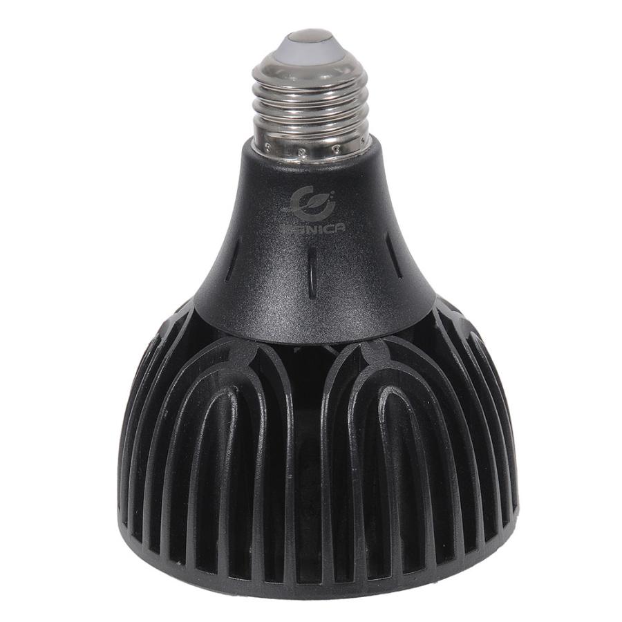 volxjapan ボルクスジャパン 彩光 X24 ワイド Ra97 ライト 照明 : チャーム charm ヤフー店 - 通販 - Yahoo!ショッピング