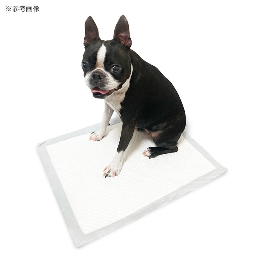 PetPro ペットプロ かんたんしつけシーツ レギュラー 120枚 : チャーム charm ヤフー店 - 通販 - Yahoo!ショッピング
