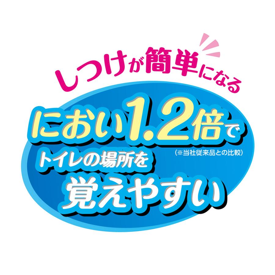 PetPro ペットプロ かんたんしつけシーツ レギュラー 120枚 : チャーム charm ヤフー店 - 通販 - Yahoo!ショッピング