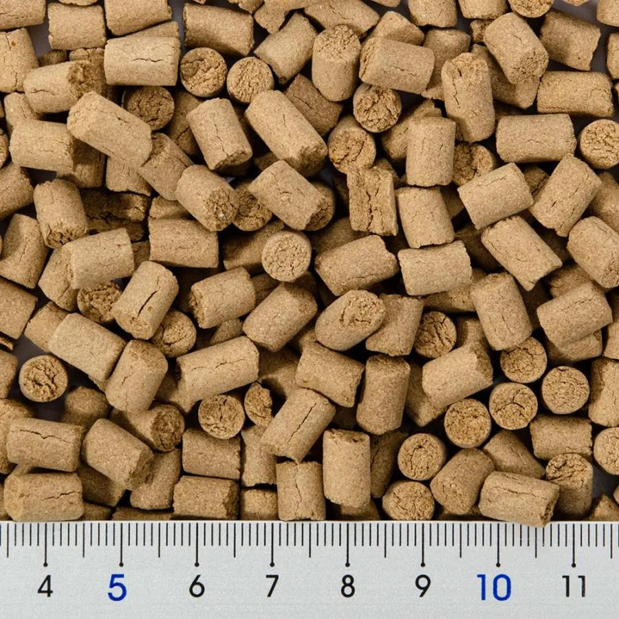 NPF bug’s ミルワーム ペレットタイプ 50g＆パウダータイプ 50g : チャーム charm ヤフー店 - 通販 - Yahoo!ショッピング