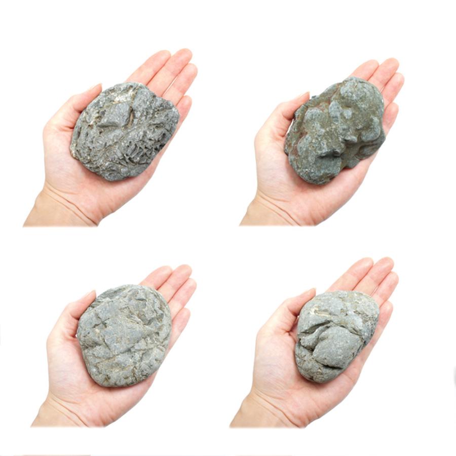 形状お任せ 蒼刻石 Sサイズ（7〜10cm） 3個 アクアリウム レイアウト素材 : チャーム charm ヤフー店 - 通販 - Yahoo!ショッピング