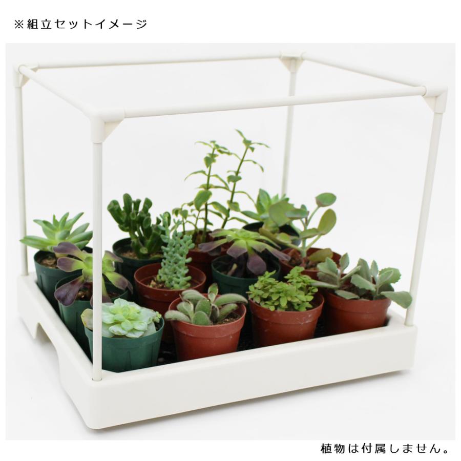 DAIM 多肉マンション W35．3×D27．5×H28．6cm カーメン君コラボ : チャーム charm ヤフー店 - 通販 - Yahoo!ショッピング