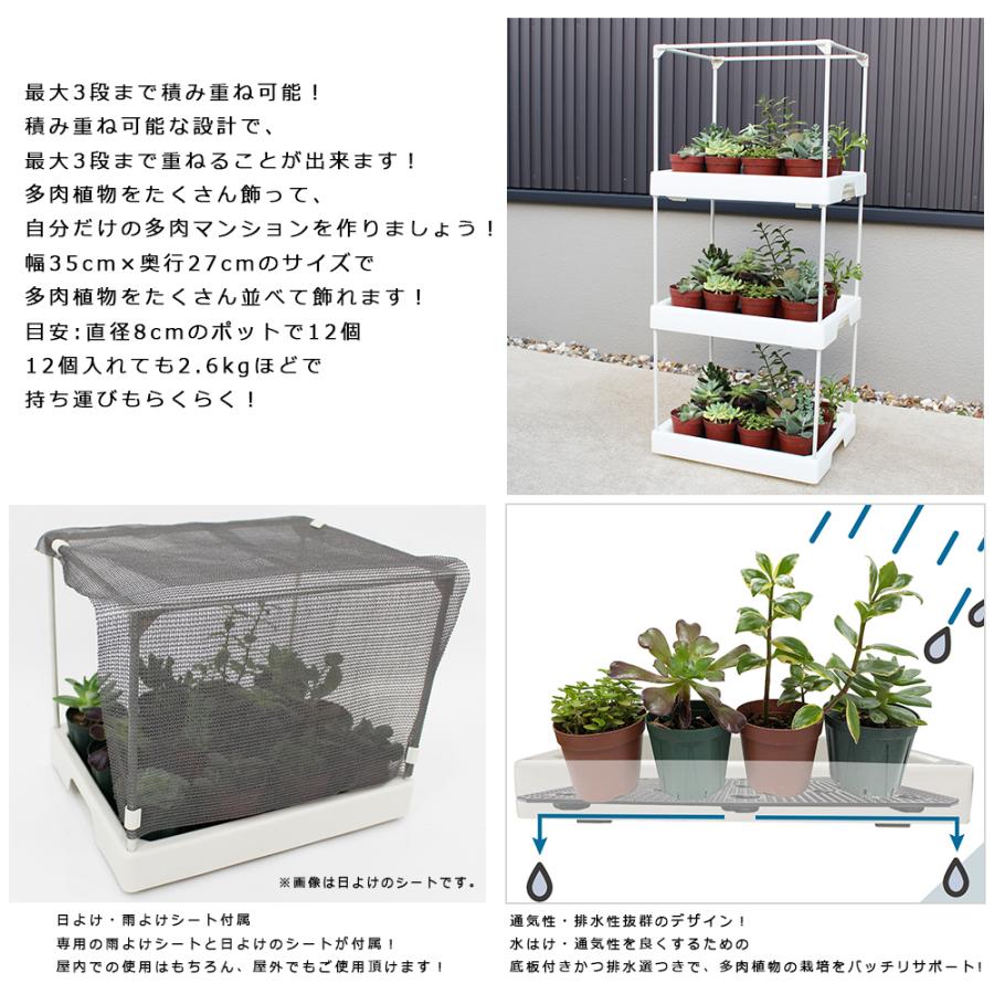 DAIM 多肉マンション W35．3×D27．5×H28．6cm カーメン君コラボ : チャーム charm ヤフー店 - 通販 - Yahoo!ショッピング