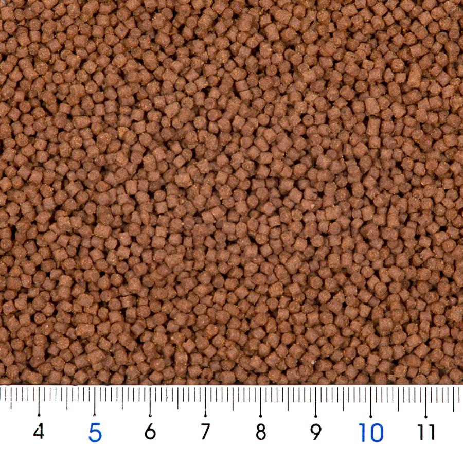 FaunaMarin LPS Grow and Color Lサイズ 60g LPSフード : チャーム charm ヤフー店 - 通販 - Yahoo!ショッピング