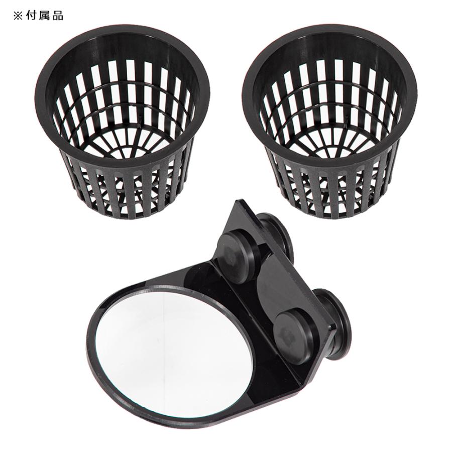 FaunaMarin Anemone Cup イソギンチャク : チャーム charm ヤフー店 - 通販 - Yahoo!ショッピング