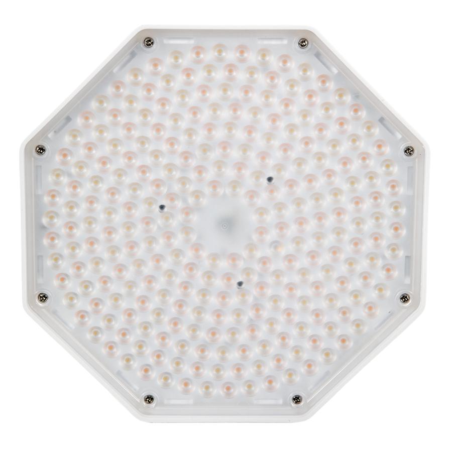 ROKI−Octagon LED 50W WH E26口金 植物育成用ライト パネルライト : チャーム charm ヤフー店 - 通販 ...