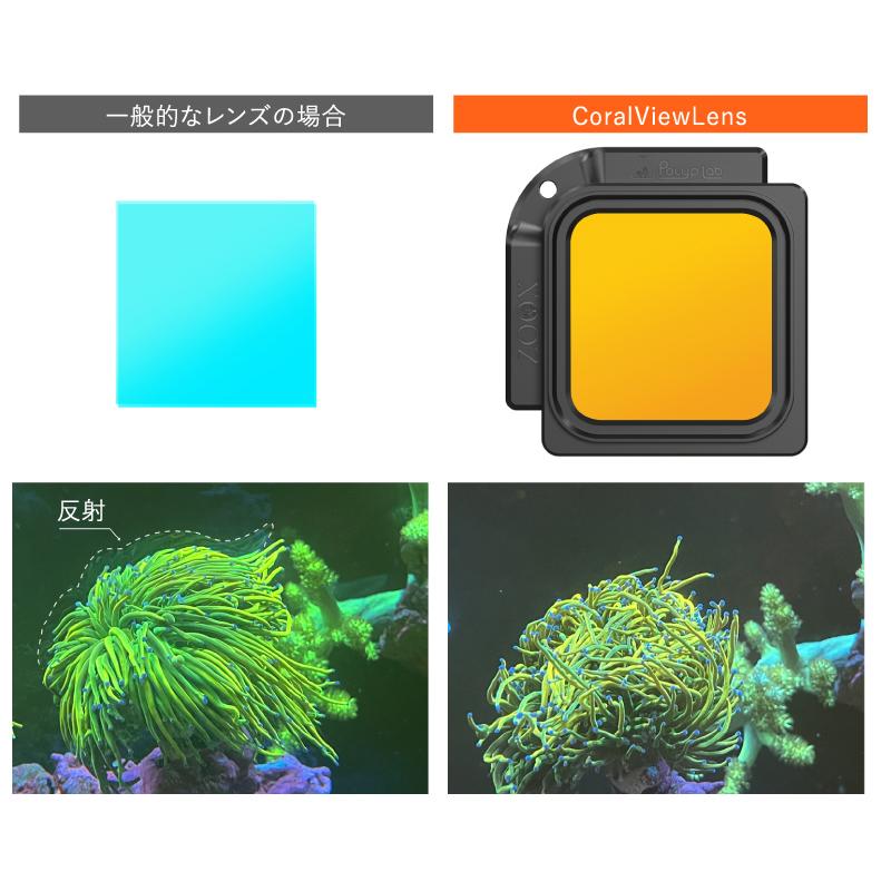 ZOOX Coral View Lens : 311360 : チャーム charm ヤフー店 - 通販 - Yahoo!ショッピング